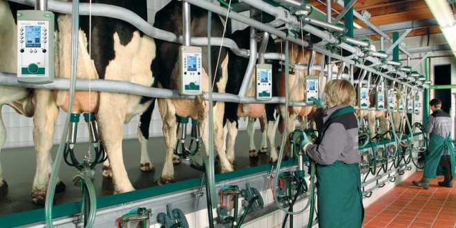 Η ελληνική παραγωγή αγελαδινού γάλακτος - Κτηνιατρικά Νέα